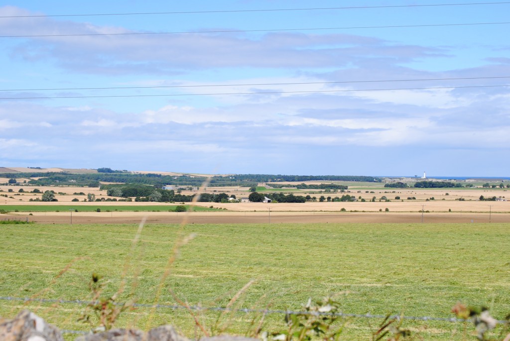 DSC_0210 – Allarburn Farm Shop